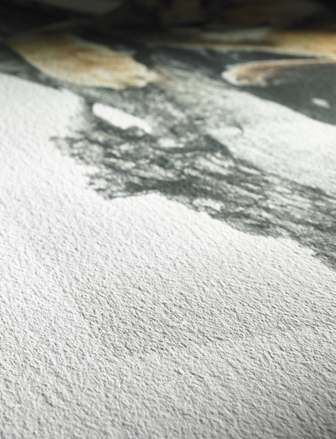Giclee Printing | Fine Art & Photography Prints | Hahnemühle Papers ...